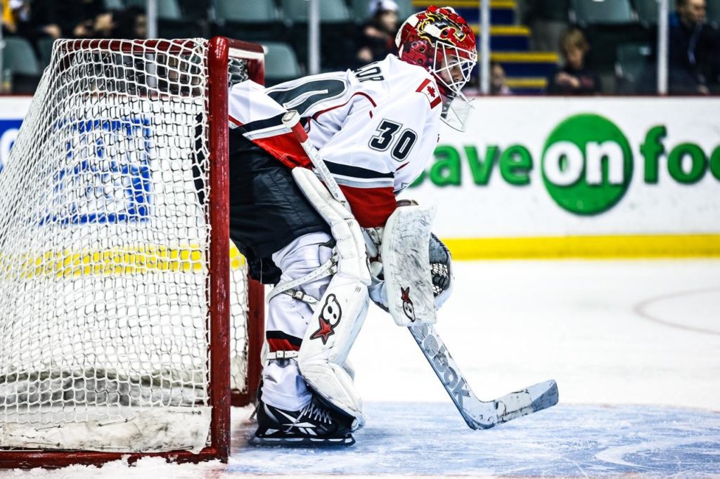 A year to remember for Heat’s Danny Taylor | TheAHL.com | The American ...