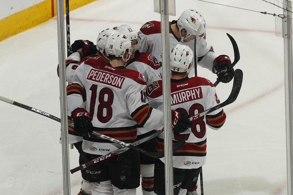 Roadrunners win playoff debut | TheAHL.com | The American Hockey League