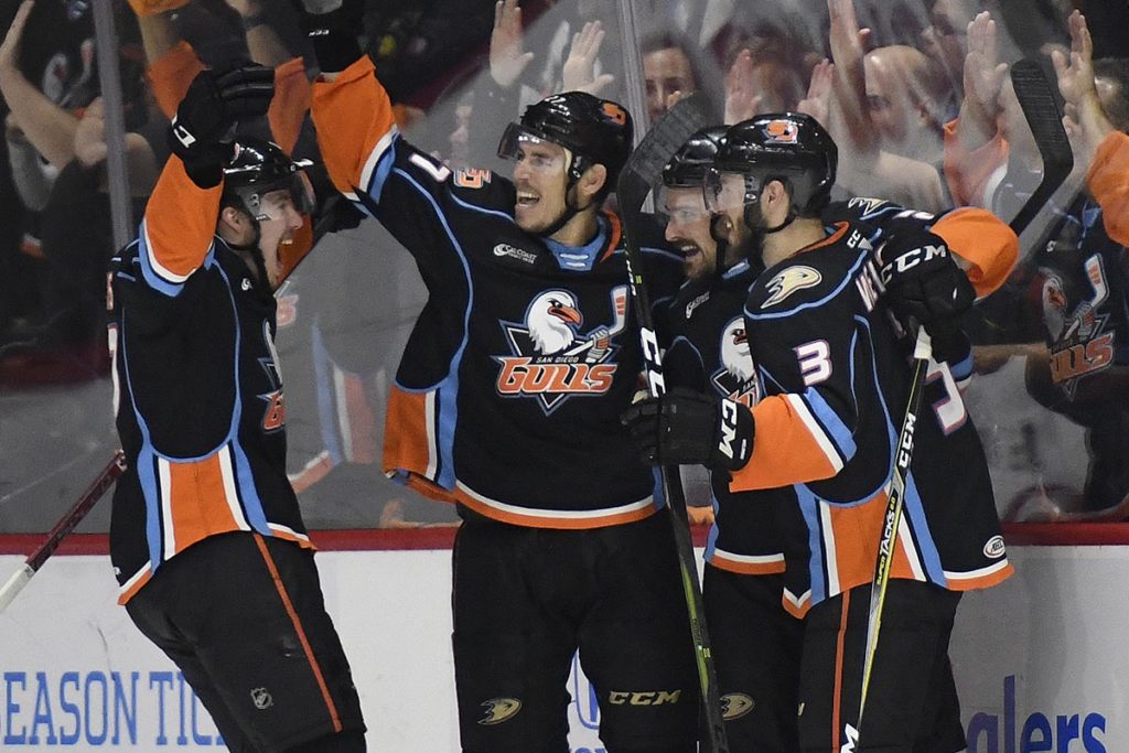 Gulls head to conference finals for first time | TheAHL.com | The ...