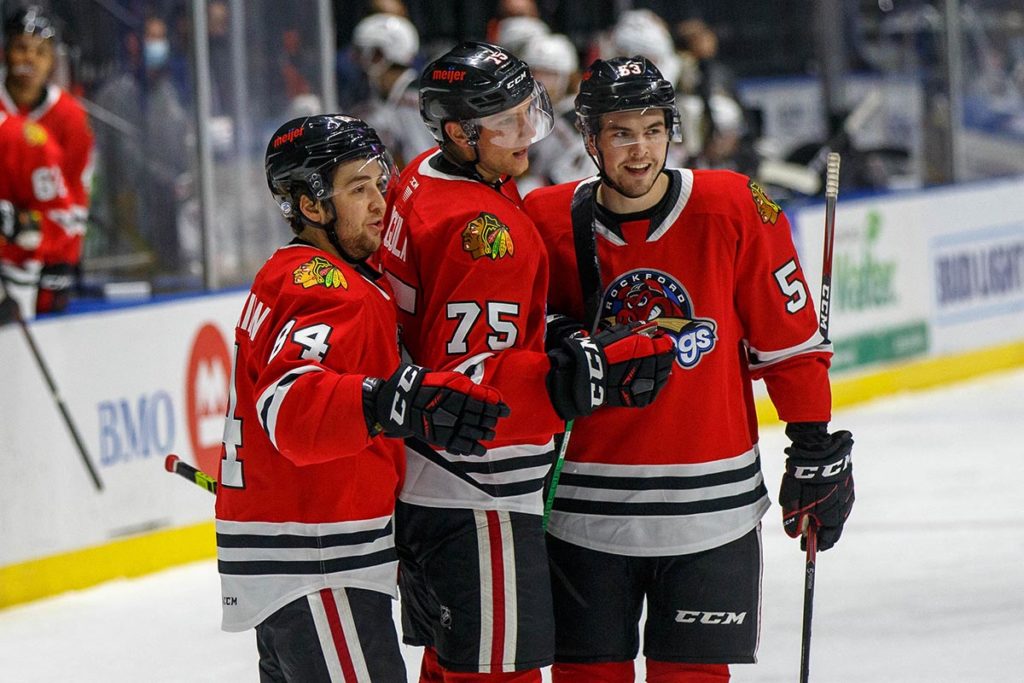 AHL Board approves Blackhawks’ purchase of IceHogs franchise | TheAHL ...