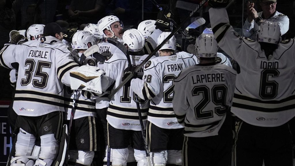 Sunday wrap: Bears complete perfect home weekend | TheAHL.com | The ...