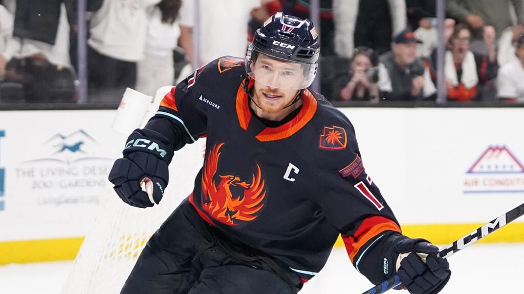 Captain McCormick leading Firebirds to great heights | TheAHL.com | The ...