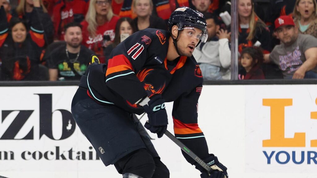Late goal rings True for Firebirds | TheAHL.com | The American Hockey ...