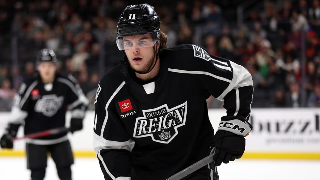 Predators add Fagemo from Kings | TheAHL.com | The American Hockey League