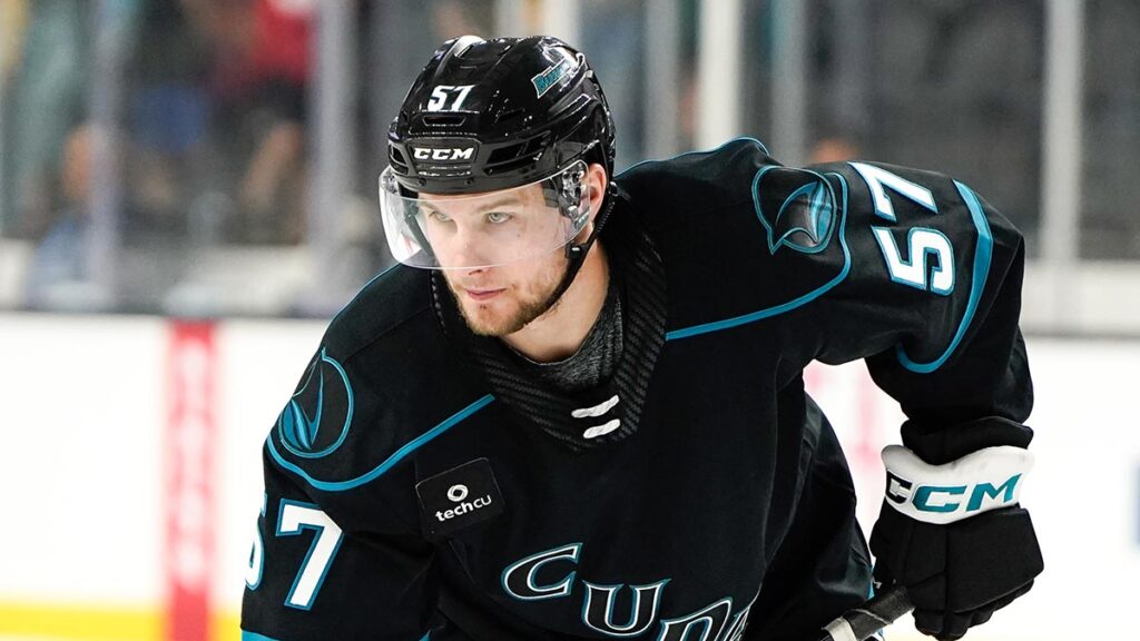 Wild acquire Raska | TheAHL.com | The American Hockey League