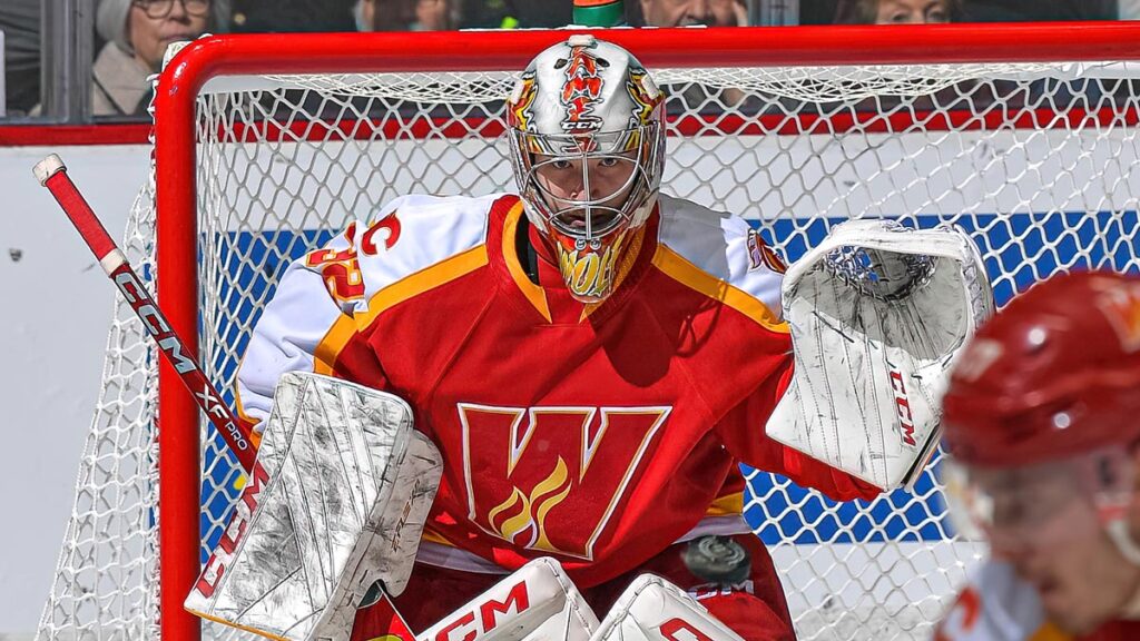 Wolf gets call from Flames | TheAHL.com | The American Hockey League