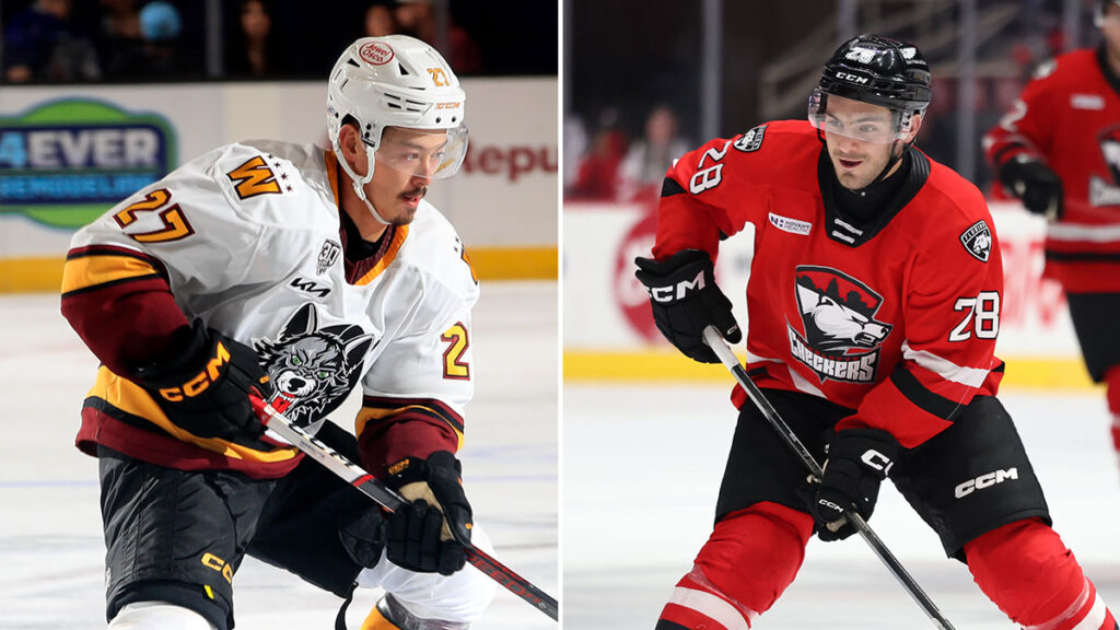 Checkers acquire Vande Sompel from Wolves | TheAHL.com | The American ...