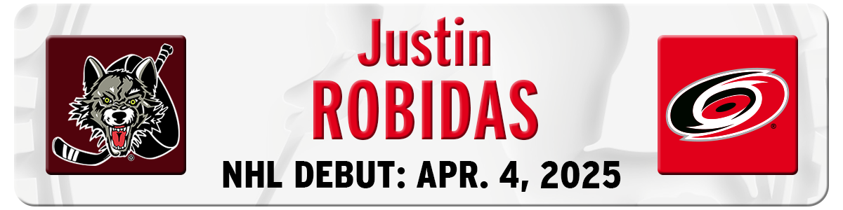 Roadrunners complete playoff field with win in season finale | TheAHL ...