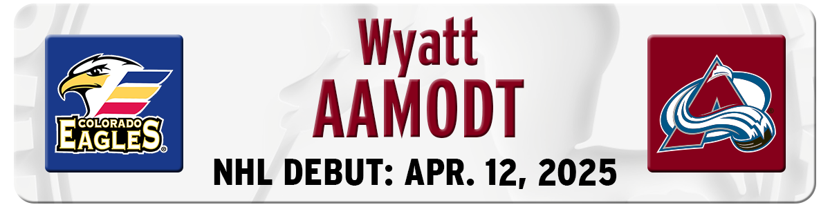 Chicago Wolves | TheAHL.com | The American Hockey League