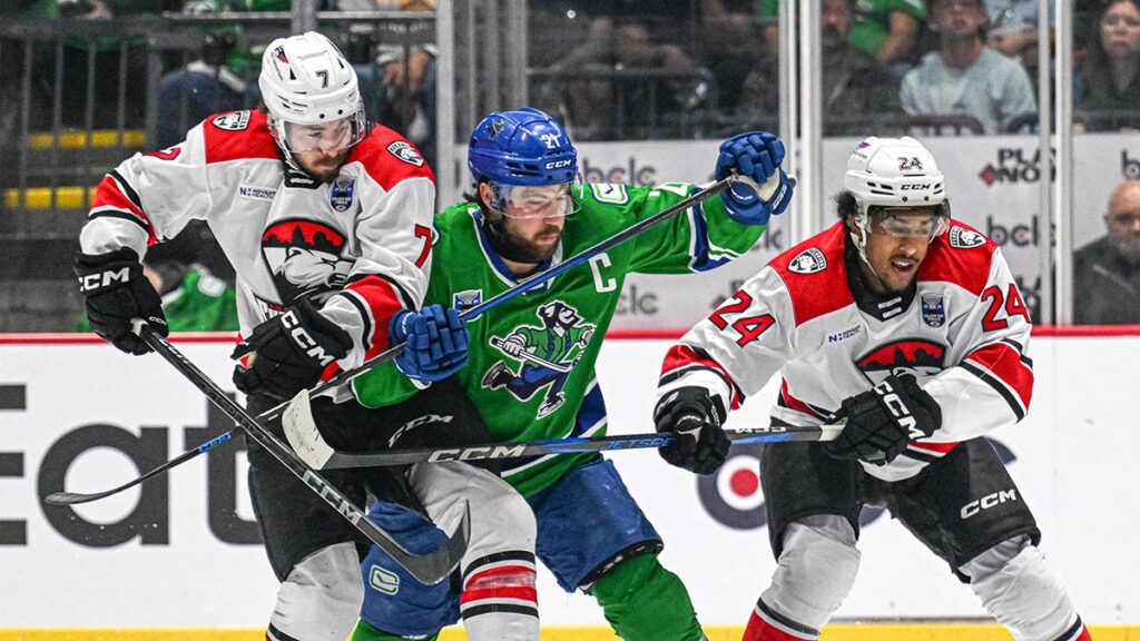 Remainder of Calder Cup Finals to air on NHL Network | TheAHL.com | The ...