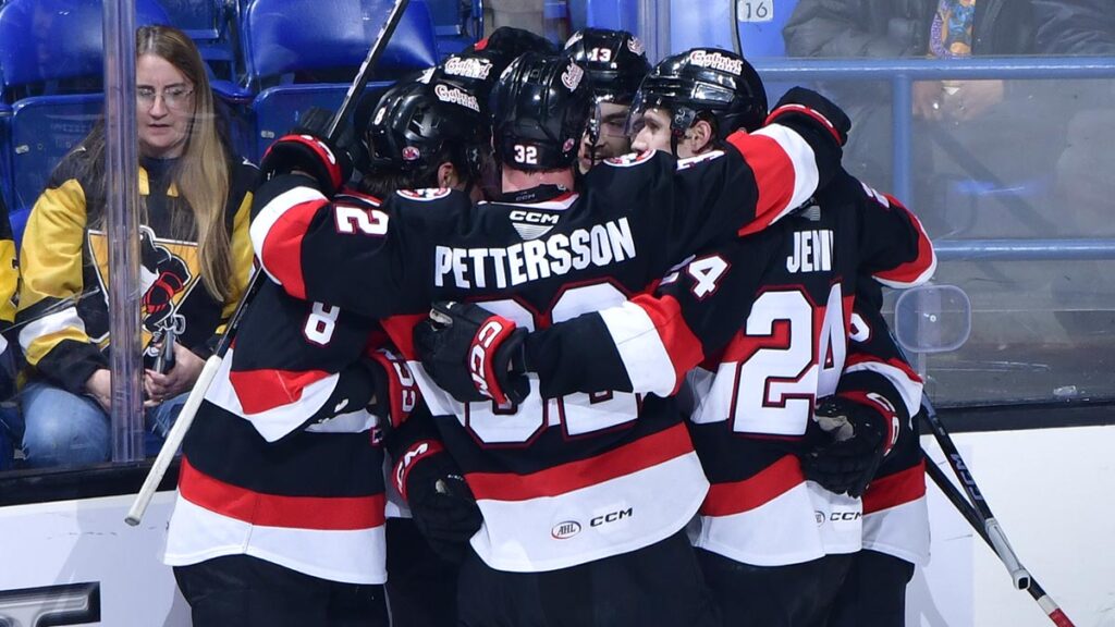 Senators set up for strong second half | TheAHL.com | The American ...